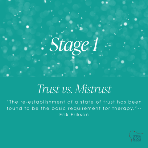 Erikson's Stage 1: Trust vs. Mistrust - Spring Ridge Academy