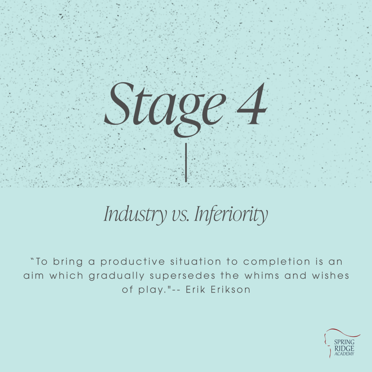 Erikson’s Stage 4: Industry vs. Inferiority - Spring Ridge Academy